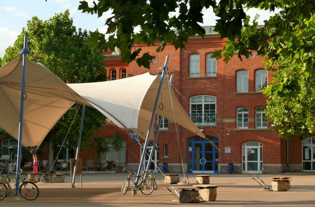 studies – Carl Schröter